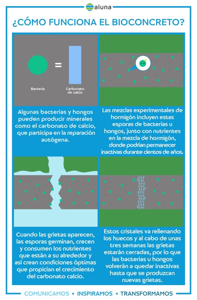Bioconcreto que se repara solo: Una opción para evitar la generación de ...